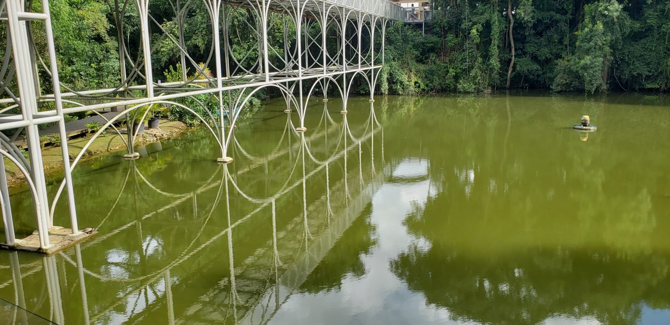 Ópera de Arame em Curitiba - Vamos viajar pra onde agora?